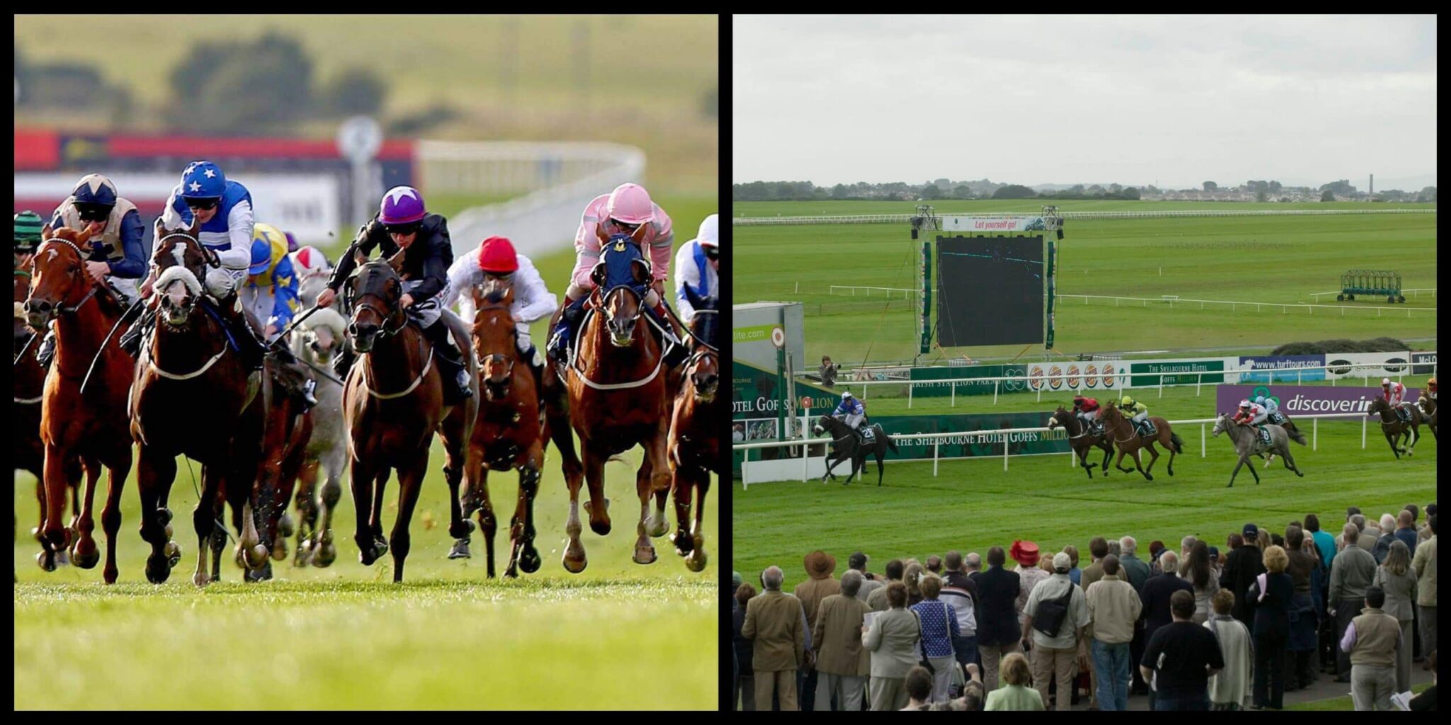 Top 6 FUN and INTERESTING facts about Curragh Racecourse