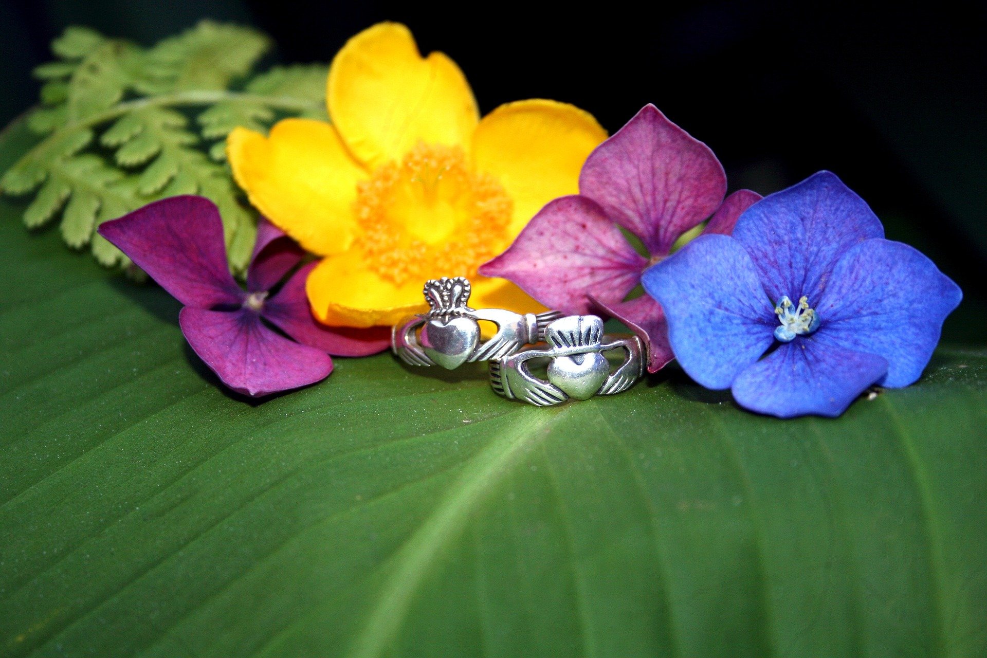 The FASCINATING STORY and meaning of the Claddagh Ring