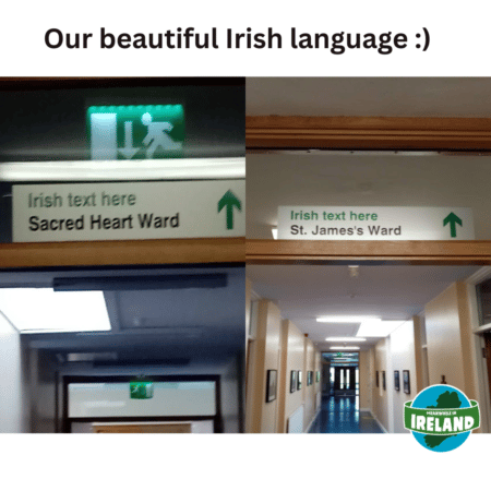 101 best IRISH MEMES on the internet