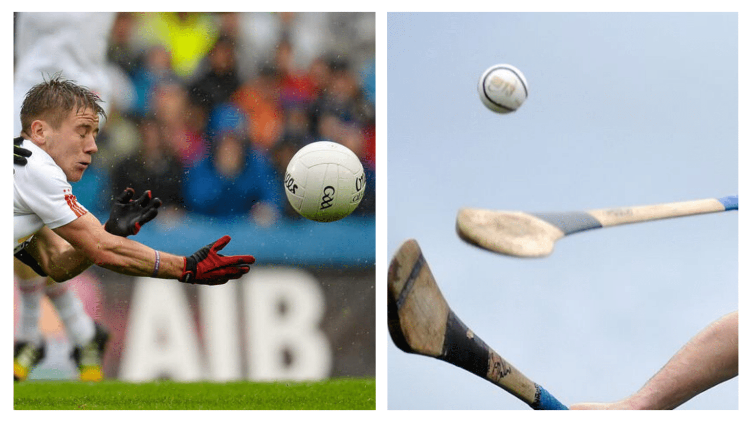 Top 10 HIGH-SPEED sports in the world